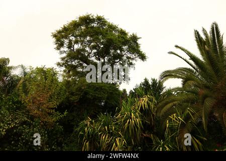 Anima Garden is a botanical garden located on the outskirts of the city ...