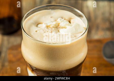 Frozen Boozy Irish Stout Beer Ice Cream Float in a Pint Glass Stock ...
