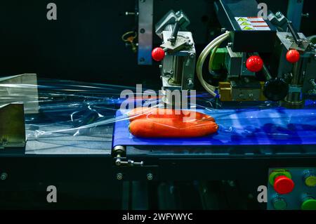 Carrots are being wrapped in plastic on a production line. Carrot ...