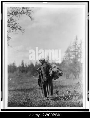 Moss for the baby-bags-Cree, c1927. Woman carrying moss on her back ...