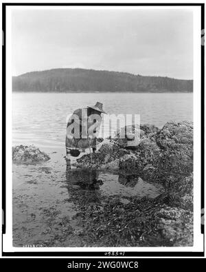 Gathering abalones-Nakoaktok, c1910. Kwakiutl woman gathering abalones ...