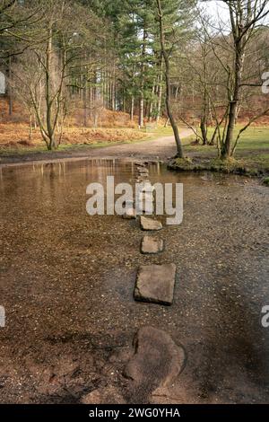 The stepping stones at Sherbrook Valley Cannock Chase Area Of ...