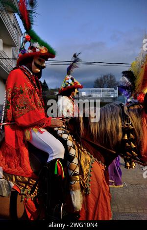 Mask and horses of Salceda de Caselas (Pontevedra) in Vibo Mask meeting ...