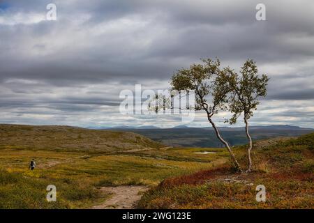 Hiking trail to the Alta Gorge, Finnmark plateau, near Alta, Arctic ...