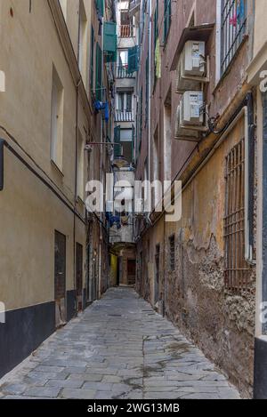 Italy, Liguria, Genoa, alley of the old historic center, Sergio in the ...