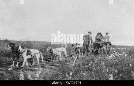 Dog team pulling railroad cart, between c1900 and c1930 Stock Photo - Alamy