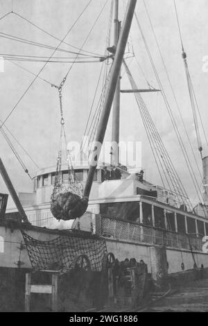 Loading copper on ship, between c1900 and 1916 Stock Photo - Alamy