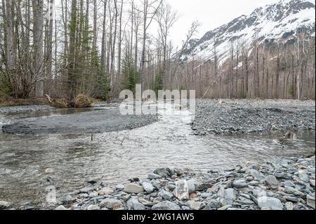 Resurrection River and Exit Glacier moraine just north of Seward ...