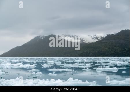 Ice and growlers floating in College Fjord with mist in the snow capped ...