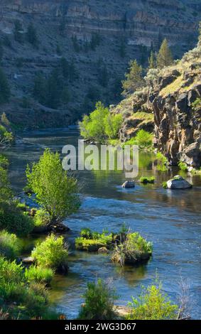 Steelhead Falls, Deschutes Wild & Scenic River, Steelhead Falls ...
