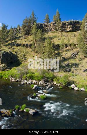 Steelhead Falls, Deschutes Wild & Scenic River, Steelhead Falls ...