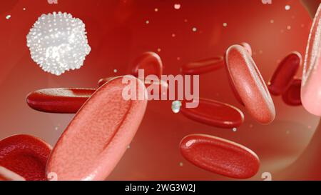 3d rendering of Elliptocytes, also known as ovalocytes or cigar cells ...