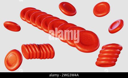 3d rendering of rouleaux, these are stacks or aggregations of red blood ...