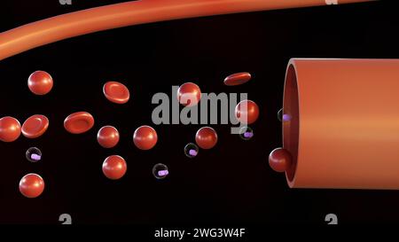 3d rendering of spherocyte, it is a red blood cell (RBC) that is ...