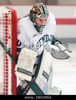Columbus, Ohio, USA. 2nd Feb, 2024. Bemidji State Beavers defenseman ...