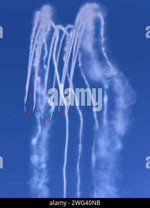 Bikaner, Rajasthan, India. 1st Feb, 2022. Share broker watches stock ...