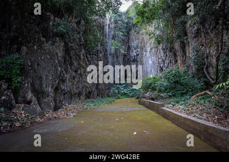 Path leading to a cave at the Wat Tham Pla Temple. Wat Tham Pla (Cave ...