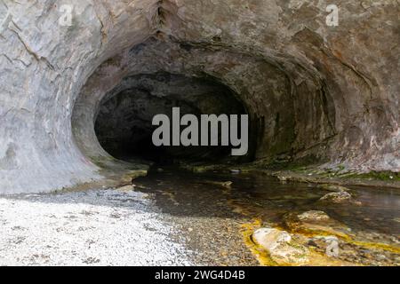 Cave Stream Scenic Reserve tracks and cave walk at New Zealand Stock ...