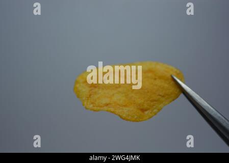 Snacks, fast and unhealthy food. Metallic, thin tweezers hold one salty ...