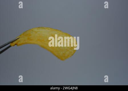 Snacks, fast and unhealthy food. Metallic, thin tweezers hold one salty ...