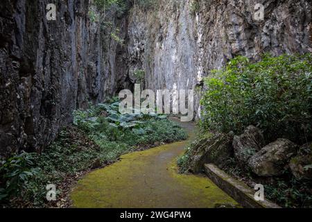 Path leading to a cave at the Wat Tham Pla Temple. Wat Tham Pla (Cave ...