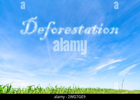 Deforestation. The clearing of forests for agriculture, urban ...