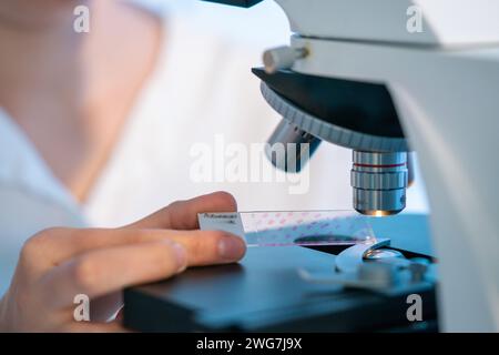 Tissue analysis: Biologists use microscopes to study animal and plant ...