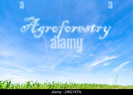 Agroforestry Integrating trees with crops or livestock to enhance ...