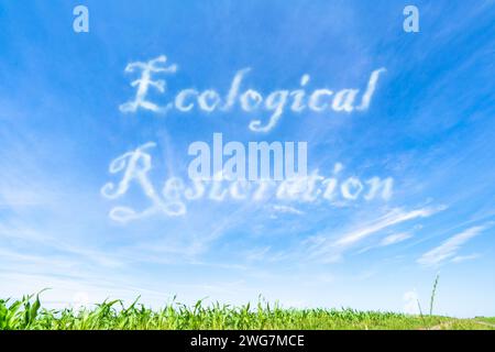 Ecological restoration active intervention to repair damaged ecosystems ...