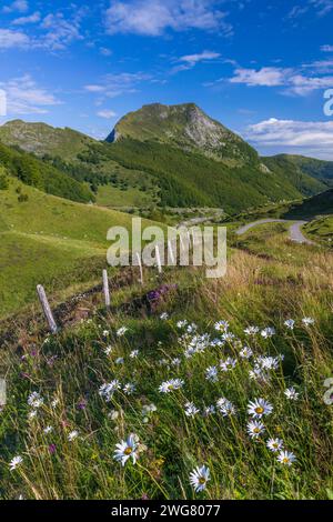 Landscape near Col d'Agnes, Department of Ariege, Pyrenees, France ...
