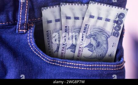 Tanzania shilling banknotes in a cash fan mosaic pattern. Tanzanian TZS ...