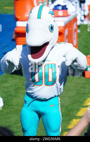 Miami Dolphins players during the Miami Dolphins' practice ahead of the ...