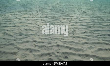 Sandy silty bottom with sunraiy in the morning time. Natural background ...