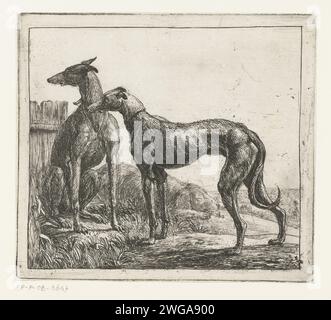 Two Hazewind dogs, Simon de Vlieger, 1610 - 1653 print From a series of ...