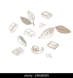 Cocoa beans and chocolate candy, sliced. Vector illustration isolated ...