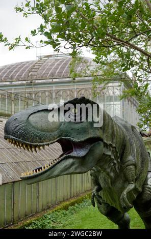 Dinosaurs in resin. Triceratops, Tyrannosaure, T-rex Stock Photo - Alamy
