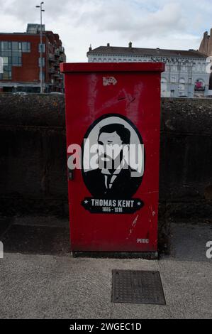 The painted electricity boxes celebrating Cork. Thanks to the ...