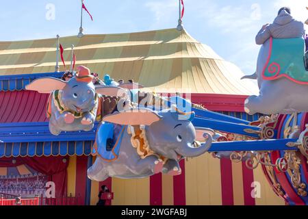 Dumbo the Flying Elelephant, Fantasyland, Magic Kingdom, Walt Disney ...