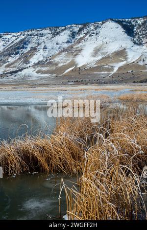 Birding at frozen marsh pond, Summer Lake Wildlife Area, Oregon Outback ...