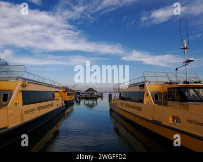 Yellow, Potomac Water Taxi at the Old Town Alexandria, Virginia, USA ...