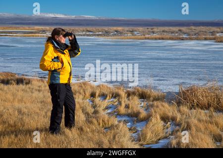 Birding at frozen marsh pond, Summer Lake Wildlife Area, Oregon Outback ...