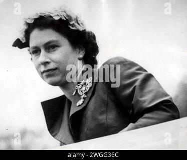 Lord Janvrin, chair of the Queen Elizabeth Memorial Committee, poses ...