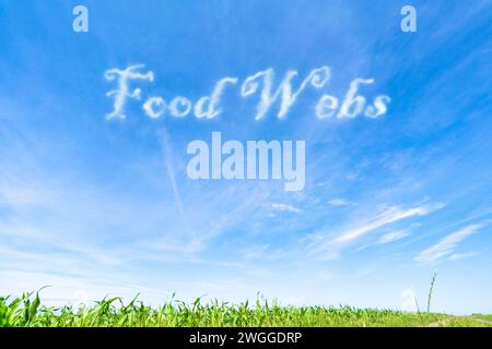 Food Webs Complex interconnections of food chains that illustrate ...