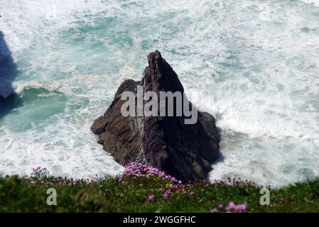 The Rocky Islands in Butter Hole Cove on the South West Coastal Path ...
