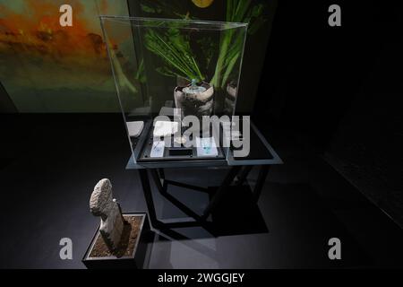 A view of an installation with an animated projection, in the exhibition The Other Pompeii ...