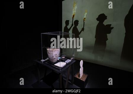 A view of an installation with an animated projection, in the exhibition The Other Pompeii ...