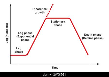Exponential versus logistic population growth. In reality, initial ...
