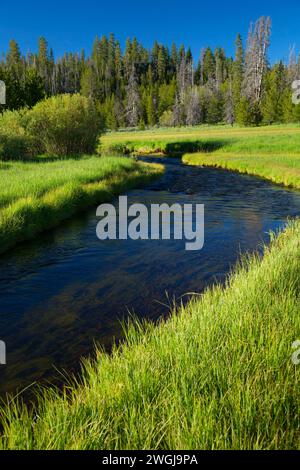Sprague Wild and Scenic River, Fremont National Forest, Oregon Stock ...