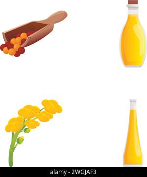 Canola plant set. Vector green leaves, bud, seed, yellow flower ...