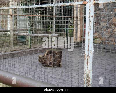 Outdoor fence at the zoo. Empty cages in the zoo. Winter at the zoo ...